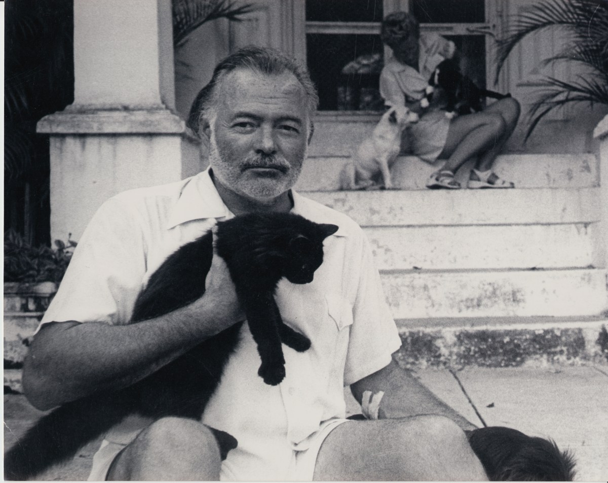 HEMINGWAY – Michael J. Cinema