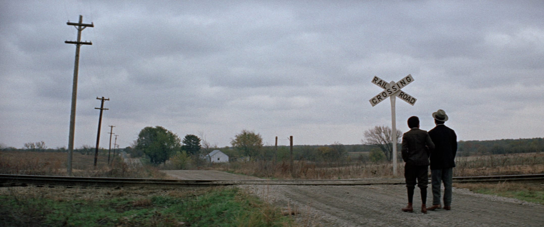 THE LEARNING TREE – Michael J. Cinema